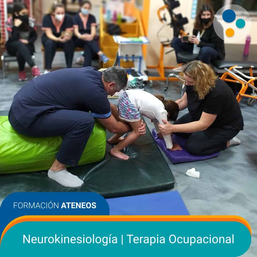 Concepto Brondo archivos · CRENI